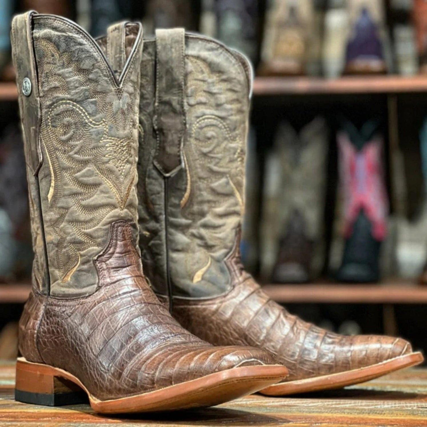 Gator Skin Boots — New West Boots