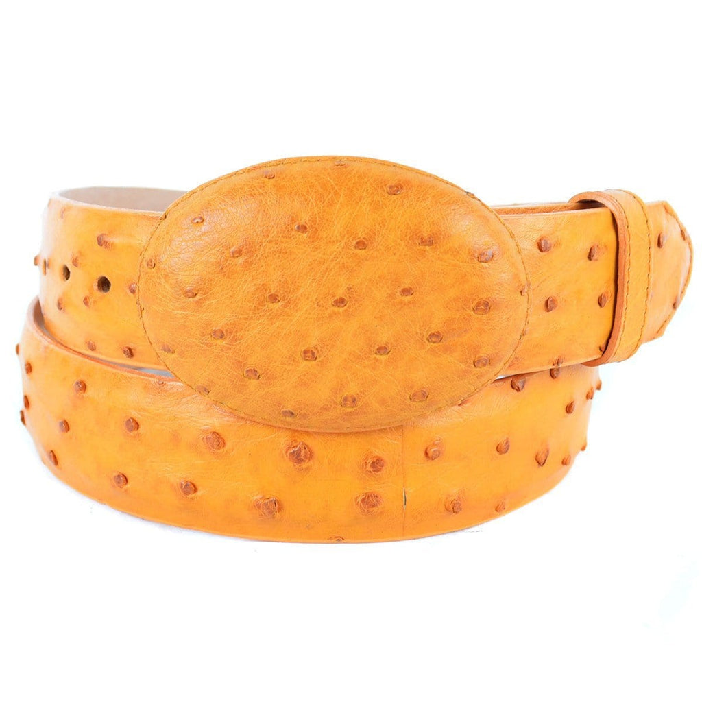 Ostrich Skin Belts — New West Boots